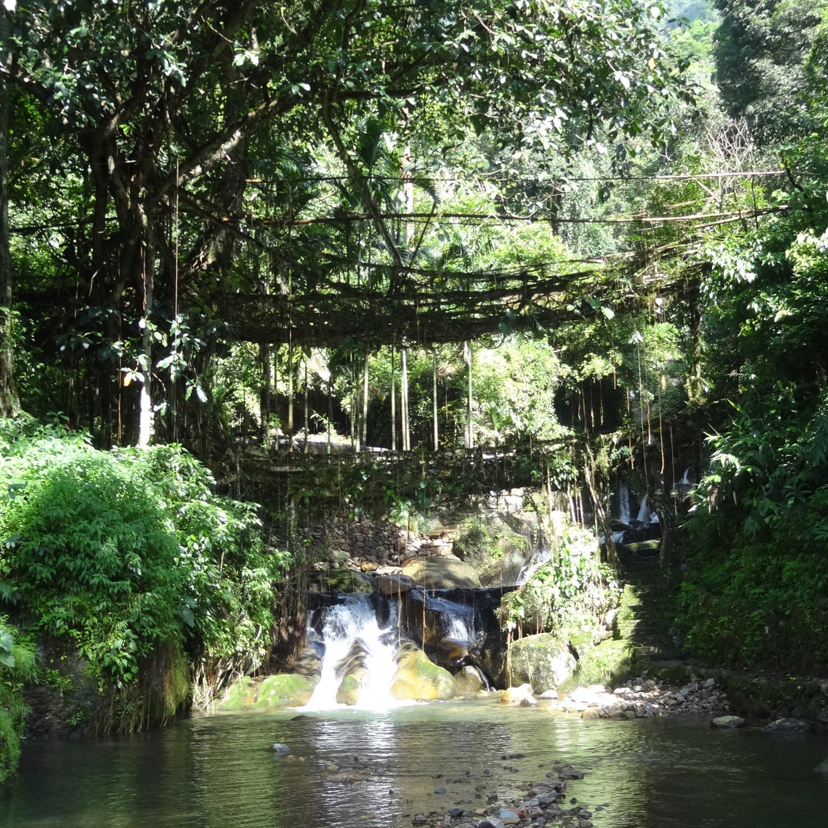 Meghalaya’s Hidden Gem: The Breathtaking Double Decker Root Bridge ...